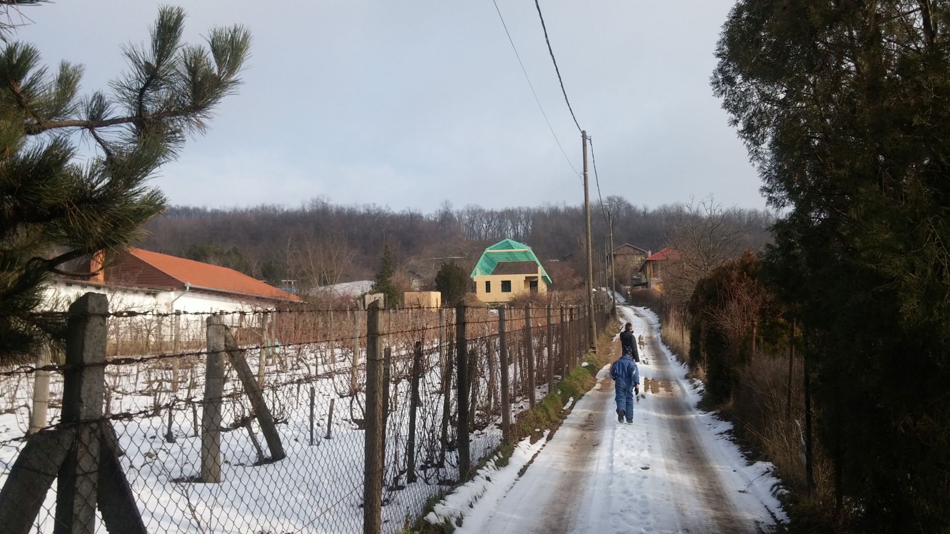 Falazás II. emelet/manzárd – Agypakolás